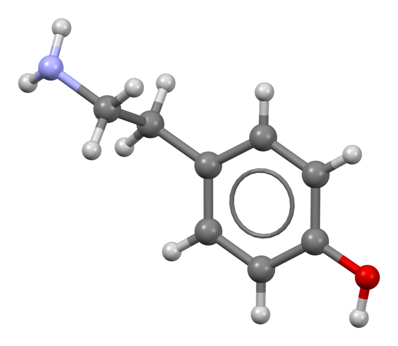 Tiramina • Compuesto de la semana • Quimicafacil.net