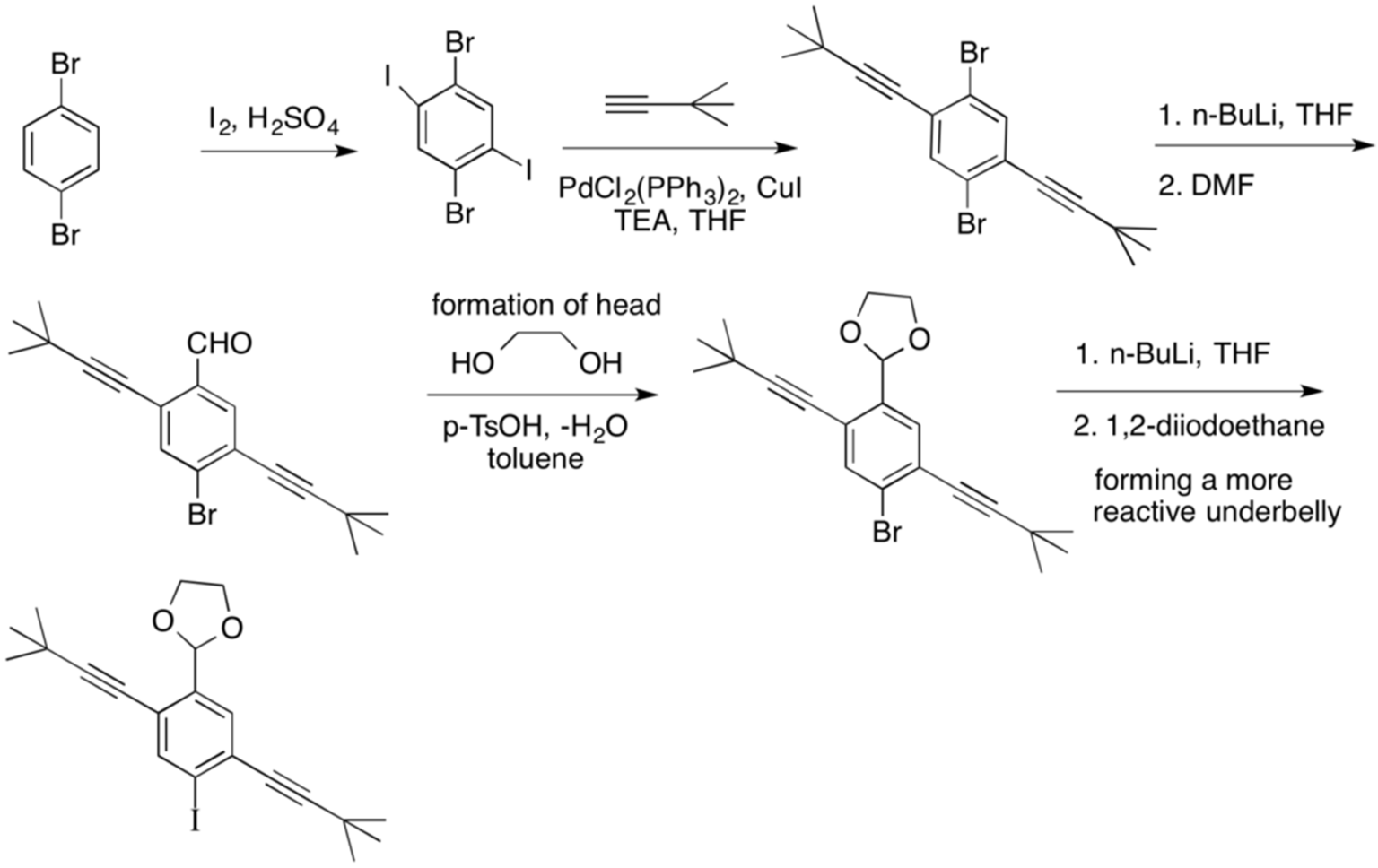 As Moleculas De Nanoputians - FDPLEARN