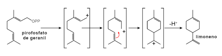 Limoneno • Compuesto de la semana • Quimicafacil.net